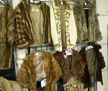 The experience of shopping in a fur store – Auction Finds