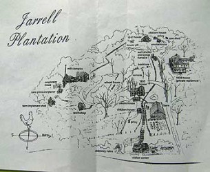 A Georgia cotton plantation so close to home – Auction Finds