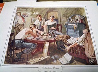 The medical illustrations of Frank Netter MD - Auction Finds