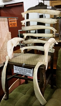 This chair’s a waste of an animal’s bones - Auction Finds
