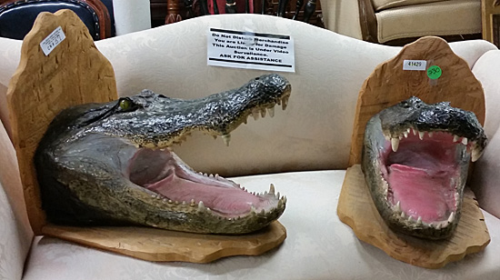 Life-sized menacing alligator bookends - Auction Finds