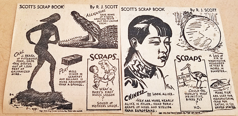Scott’s Scrap Book cartoons not as famous as Ripley’s – Auction Finds