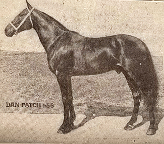 Photo flip book about a 1906 horse champ named Dan Patch - Auction Finds